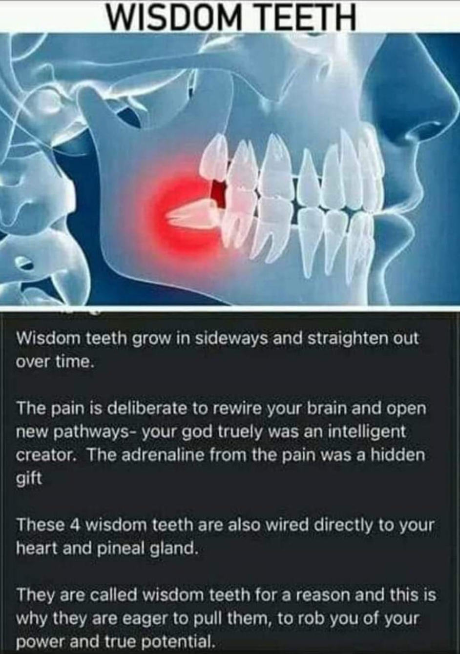 Are wisdom teeth linked to our heart? Are extractions a conspiracy to ...